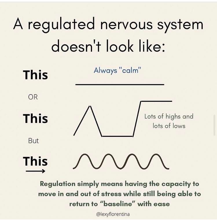 Regulated vs Calm - The Occuplaytional Therapist